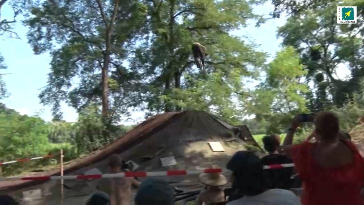 Jam Selzi Trail 2024 - GambsTV
